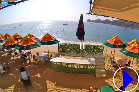 Top 86 Imagen Mango Beach Club Cabo San Lucas Abzlocalmx