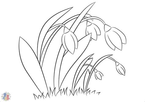 Pin By Cîndea Evelyne On Ghiocei Spring Activities Clip Art Diy And