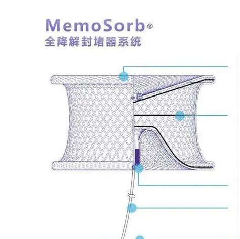 全球首款全降解封堵器系统投入临床应用 范太兵 华中 患者