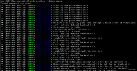记一次netplan配置无效的问题定位过程netplan Apply网络配置未生效 Csdn博客