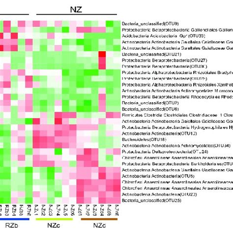 Zi Pi Plots Showing Distribution Of Otus Based On Their Topological