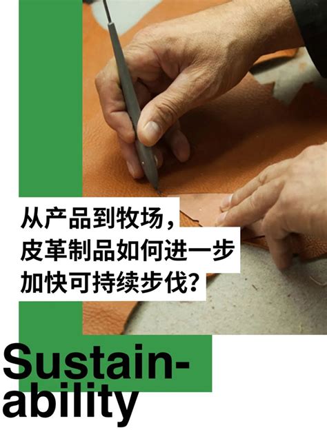 高端皮革制品如何 更加深化可持续发展 鞋业资讯 鞋材资讯 中国鞋网