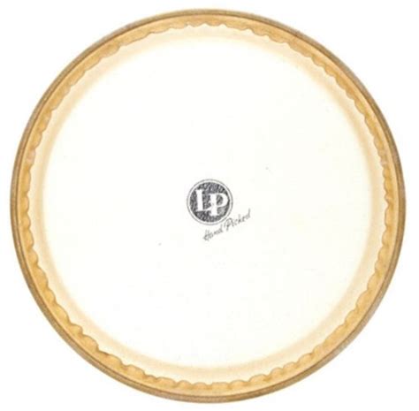 Conga Replacement Heads X8 Drums