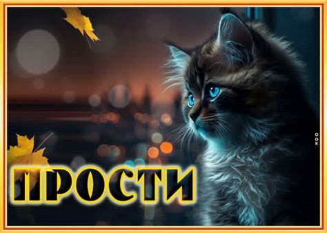 Магнетическая анимационная открытка с котиком Прости Скачать