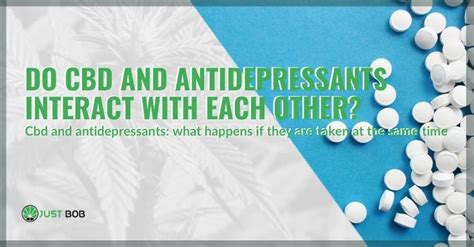 Do CBD And Antidepressants Interact Each Other Justbob