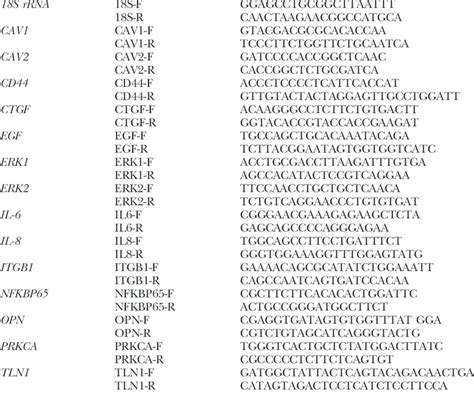 Primers Used For Quantitative Real Time Pcr Gene Primer Sequence