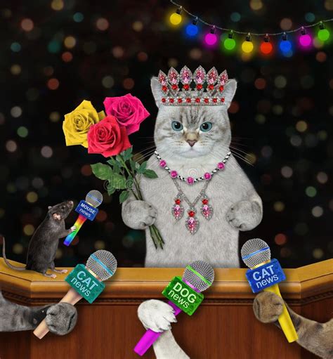 Cat Ashen Gives Interview To Press Stock Illustration Illustration Of