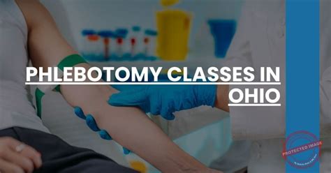 Phlebotomy Classes In Ohio My Blog