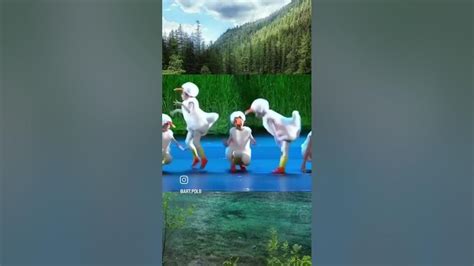🦆🦆🦆cute Duck Dance 🦆🦆🦆 Dance Shortvideo Shorts Youtube