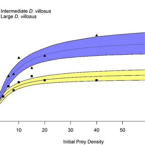 Type II Functional Response Curves For Intermediate D Villosus Filled Download Scientific