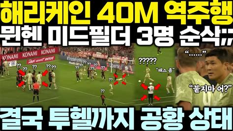 심각하네요뮌헨 첫실점 또 해리케인 자살골로 밝혀지자 갑자기 손흥민 언급하며 뒤집어진 독일 상황 Youtube