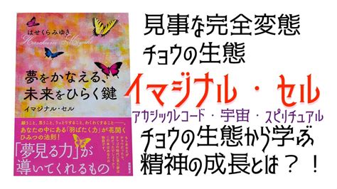 夢をかなえる、未来をひらく鍵 イマジナル・セル Youtube