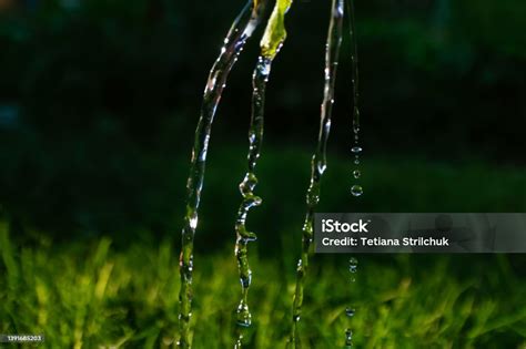 녹색 자연 배경에 주전자에 쏟아지는 물방울과 거품을 집중 해제하십시오 신선한 여름 공간을 복사합니다 추상적 인 물이 튀는 것 튀김 비가 내린다 초점이 맞지 않음 기포에 대한