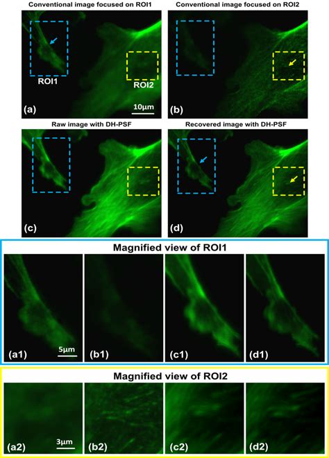 The Double Helix Psf Produces The Extended Depth Of Field Recovered