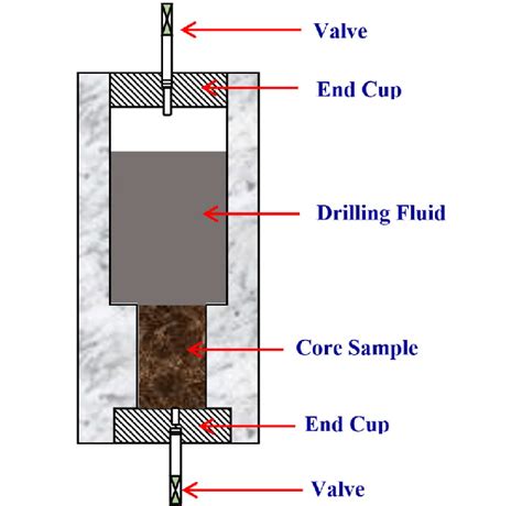 Modified Cell Schematic Download Scientific Diagram