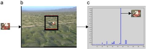 Figure 1 From Visual Object Tracking Via Sample Based Adaptive Sparse