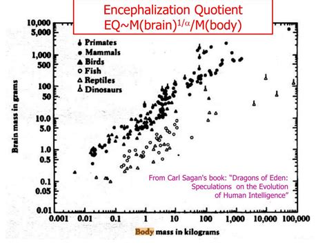 Ppt Home Depot Model Of Evolution Of Prokaryotic Metabolic Networks And Their Regulation