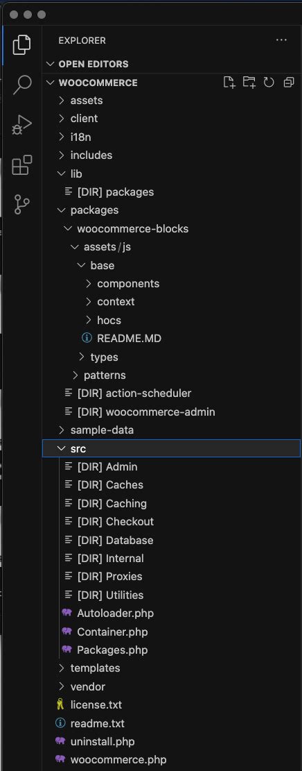 What Is DIR In The VS Code Ftp Simple Extension Why Is This Happening Stack Overflow