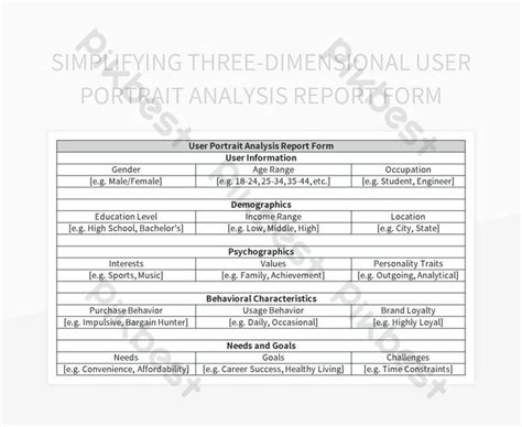 simplifying three dimensional user portrait analysis report form excel