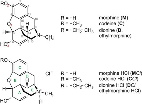 Insights Into Hydrate Formation And Stability Of Morphinanes From A