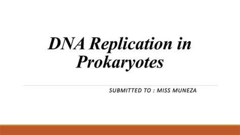 Dna Replication Eukaryotes Ppt