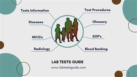 24 Hour Urine Protein Lab Tests Guide