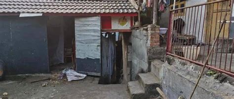 黑熊伤人被反杀，已被送至高校！身高1米57的他讲述搏斗经过母光才相关孙全辉