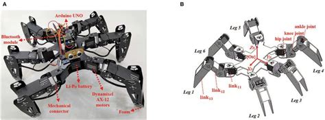 Adaptive Locomotion Control Of A Hexapod Robot Via Bio Inspired Learning Frontiers