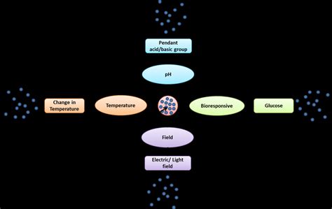 Different Types Of Smart Polymeric Drug Delivery Systems For