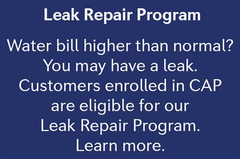 Customer Assistance Program Cap Essential Utilities