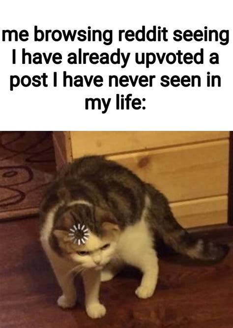 Do You Know Who Else Has Dementia Rmemes