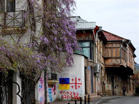 ცის ვაზი ძველ თბილისში აივნებზე მოხვეული იასამნისფერი გლიცინიები ბადრი ვადაჭკორიას ობიექტივში