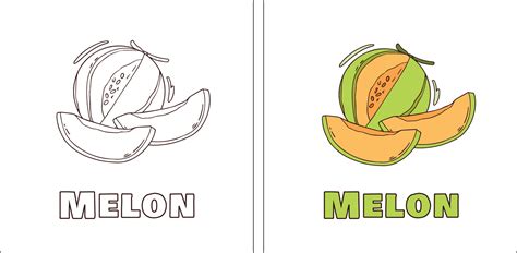 Una Página Para Colorear Dibujada A Mano De Melón 9243107 Vector En