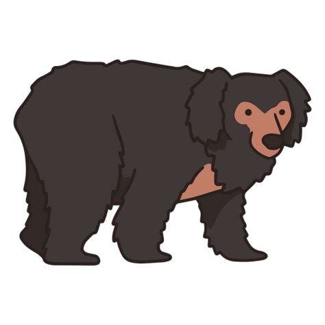 Sloth Bear Color Stroke PNG SVG Design For T Shirts