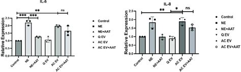 Unchecked Activity Of Exosome Associated Neutrophil Elastase Ne Download Scientific Diagram
