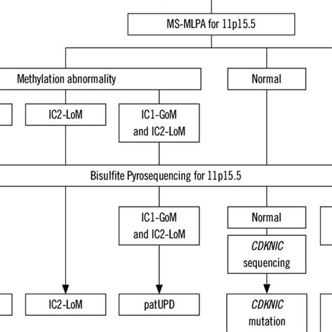 Flowchart Of Molecular Testing Abbreviations Ms Mlpa Download