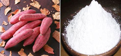 Sweet Potato Starch Health Benefitsindustry News