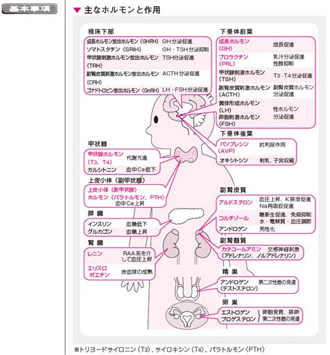 【理学療法士・作業療法士国試】「b 生理学・病理学」でよく出るテーマといえば？（科目別分析シリーズ③） Gogo理学療法士・作業療法士！
