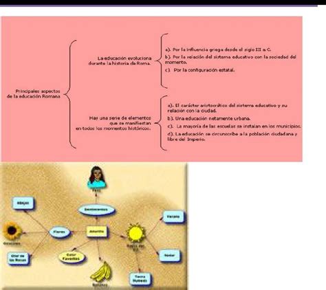 Pin En Organizador Grafico