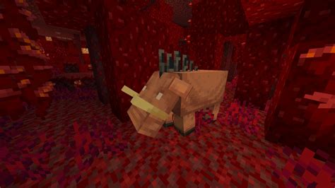Minecraft Hoglin Farm Automatically Farm Cooked Porkchops And Leather In The Nether