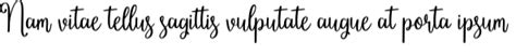 Cherish Script Font By Vilogsign · Creative Fabrica