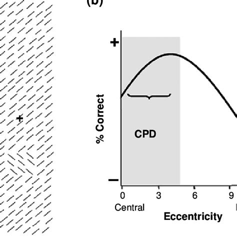 A An Example Of The Display Used In The Texture Segregation The Download Scientific Diagram