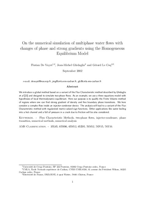 pdf on the numerical simulation of multiphase water flows with