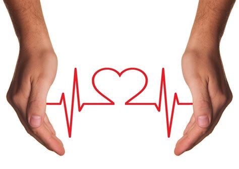 Github Jasminenag Cardiovascular Risk Prediction The Cardiovascular Risk Prediction Dataset