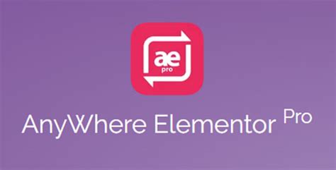 Anywhere Elementor Pro Net1s