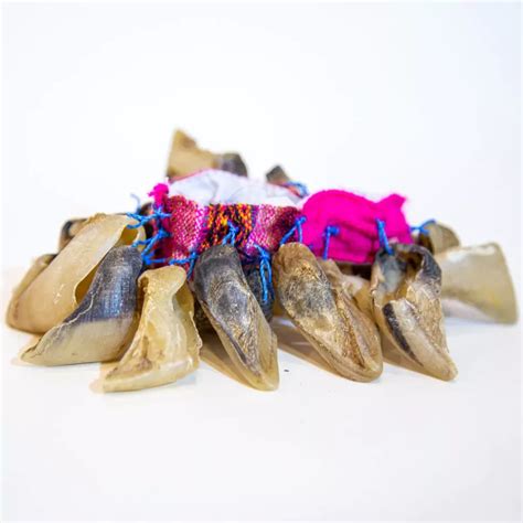 Chajchas Pezuñas Instrumento De Percusión Andino Artesanal