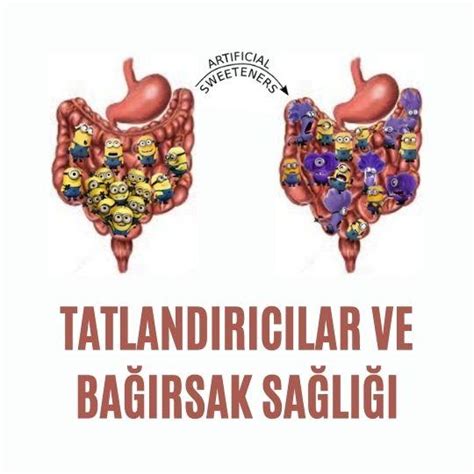 Tatlandırıcılar ve bağırsak sağlığı Prof Dr Nevrez Koylan