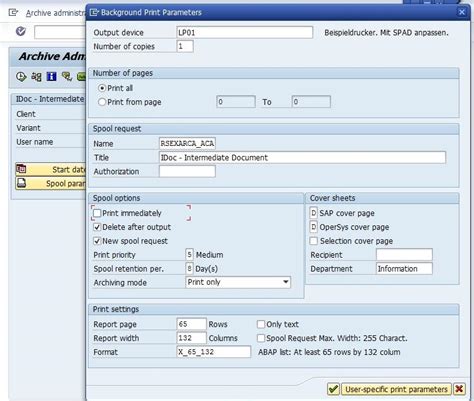 SAP BASIS Support Issues Solutions SAP Archiving IDOCS In SAP