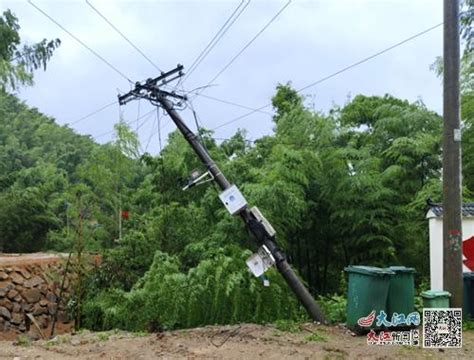 奉新县百丈山扶正倾斜电线杆除隐患图