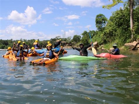 What Is River Bugs Where Is It Used About River Bugs
